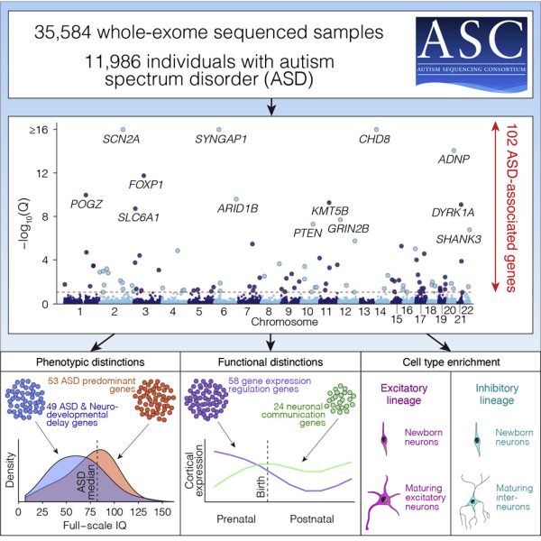 Sisters Project - Autism Science Foundation